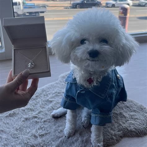 포항미용실 리아헤어플래너 레이어드허쉬 컷and펌 전문💇🏻‍♀️ 원장 리아 ㅋㅋㅋㅋㅋㅋㅋㅋ일하자일해૮꒦ິཅ꒦ິ