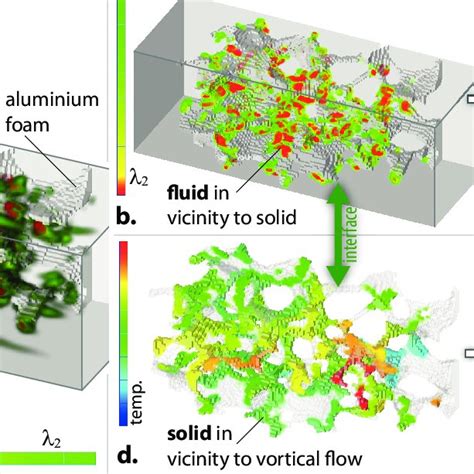 The Basic Structure Of The Fluid Structure Interaction A Simulated Download Scientific