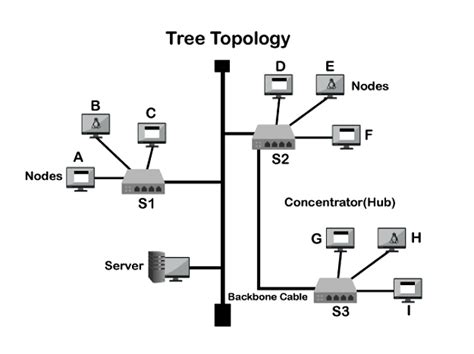 What Is Tree Topology Network Definition Advantages Disadvantages Images The Best Porn Website