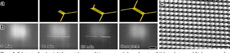 Figure 2 From Towards Deterministic Lateral Displacement Based Continuous Flow Microfluidic