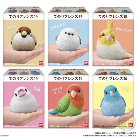 現貨 日版 萬代 Bandai 小鳥 盒玩 食玩 小鳥 胖嘟嘟鳥 掌中鳥 鸚鵡 麻雀 玄鳳 文鳥 掌上好朋友 蝦皮購物