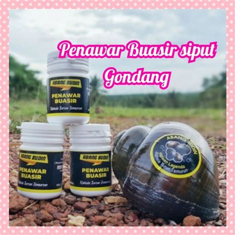Ship 24 Jam Penawar Buasir Berkesan Dari Siput Gondang Ubat Buasir