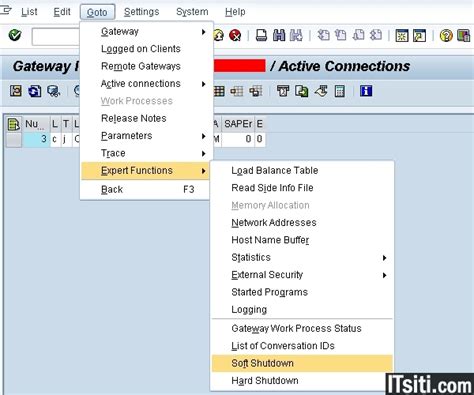 Shutdown Sap Gateway