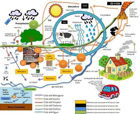 Mapa Mental De Los Ciclos Biogeoquímicos Baono