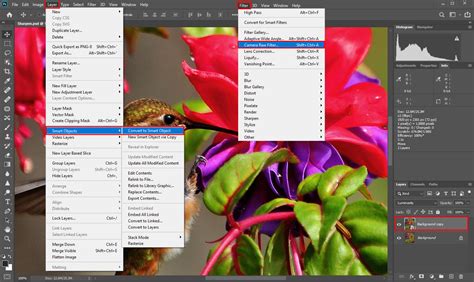 Image Sharpening In Photoshop A Comprehensive Guide PSD Vault