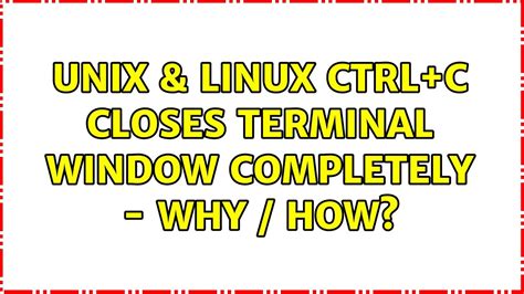 unix and linux ctrl c closes terminal window completely why how