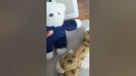 Cheatahs Mind Is Blowed Youtube