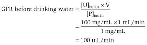How To Calculate Gfr Using Inulin Haiper