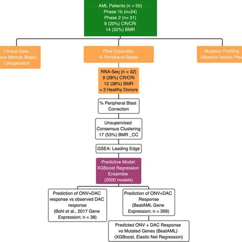 Variable Gene Importance From Xgboost Variable Importance Shown For