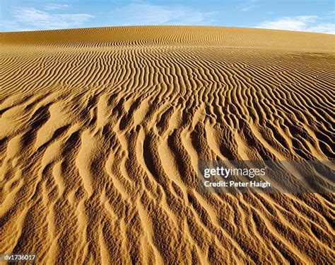 メスキートフラット砂丘 ストックフォトと画像 Getty Images