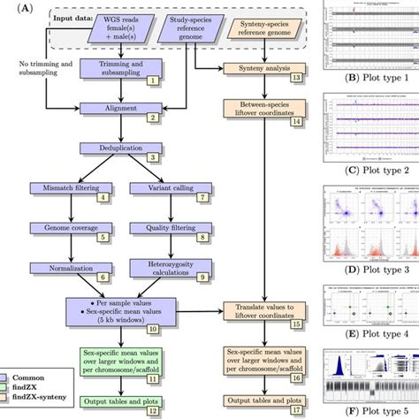 Sex Differences In Genome Coverage And Heterozygosity Values 1 Mb Download Scientific Diagram