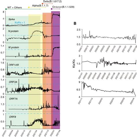 Sars Cov 2 Codon Adaptation Analysis A B C Correlation Of Caiite Download Scientific