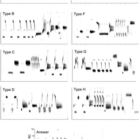 Spectrograms Of The 8 Songs Song Types A H In The Repertoire Of One