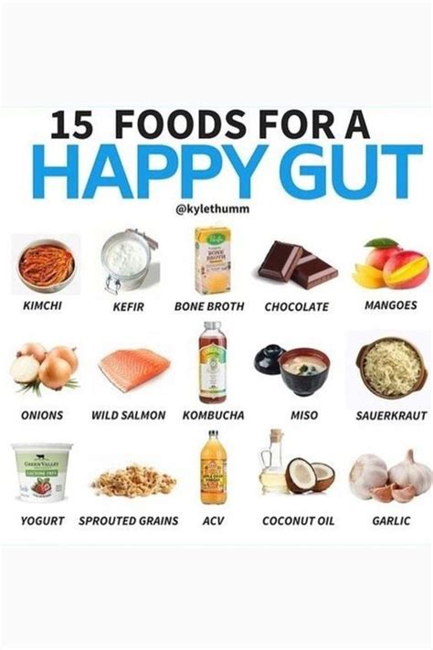 15 Foods Dir Happy Gut Healthy Gut Recipes Healing Food Digestive