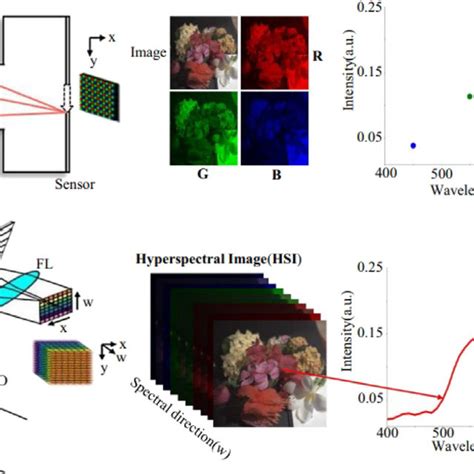 Schematic Diagrams Of An Rgb Camera A And A Typical Hyperspectral Download Scientific Diagram
