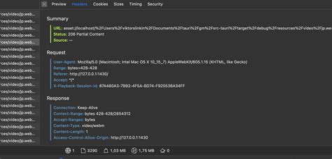 Bug Macos Problem With Playing Video From Resources In The Format