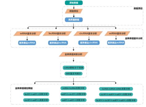 转录组学｜全转录组测序 知乎