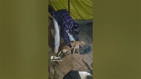 दर्द मेरा तू नहीं समझा तो समझेगा कौन Youtube