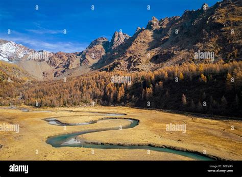 Aerial View Of Preda Rossa Valley In Autumn In Front Of Monte Disgrazia And Corni Bruciati Val