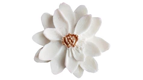 코코넛 밀크 맛 Sam Pan Nee 전통 태국 수공예 스낵 격리 클리핑 경로가 있는 흰색 배경 파스텔 핑크 정통 왕실 유명 태국 과자 디저트 컷아웃 0명에 대한 스톡 사진