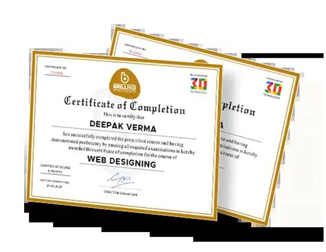 Animation Course In Dehradun Brilliko Institute Of Multimedia