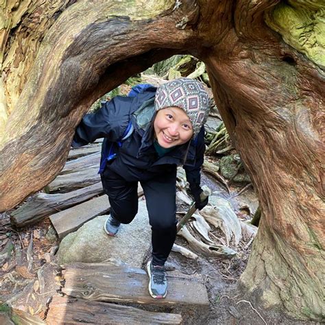 Find A Certified Trail Consultant Forest Therapy Guides