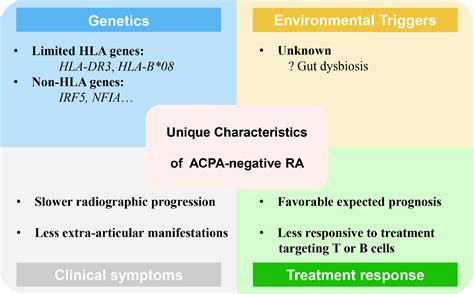 Exploring The Role Of Rheumatoid Factor In Rheumatoid Arthritis