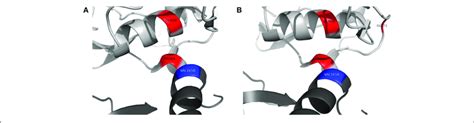 Three Dimensional Topology Of Selected Missense Mutations In