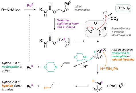 Alloc Protecting Group Alloc Protection Deprotection Mechanism