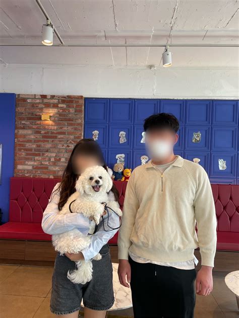 비숑프리제 사랑이 페르시안친칠라 구미강아지분양 애견분양샵 서울강아지분양 유기견센터 애완용강아지종류 대구유기견 반려견무료분양 빅토리아펫보호소 입양완료