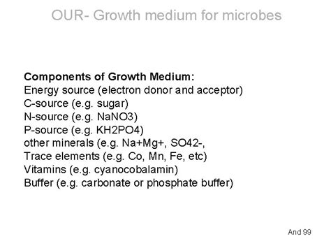 Growth Overview Microbial Growth Overview Of Terms Exponential