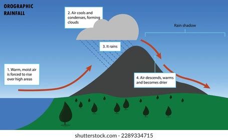 Draw A Diagram Showing A Convectional Rainfall B The Rise Of El Niño