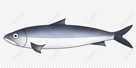 소금에 절인 생선 Png 일러스트 무료 다운로드 Lovepik