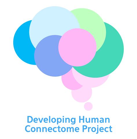 New Website For Developing Human Connectome Project Launched Biomedia