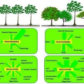 Differences In Provisioning And Regulating Ecosystem Services Delivery Download Scientific