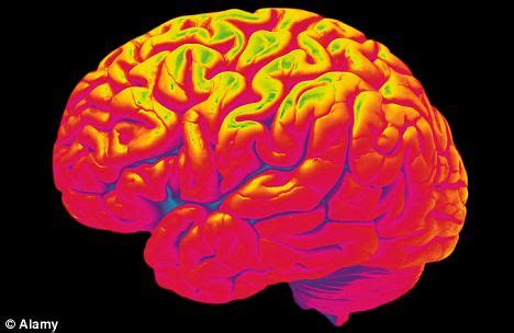 Sex Changes The Brain And It IS Different For Men And Women Daily Mail Online