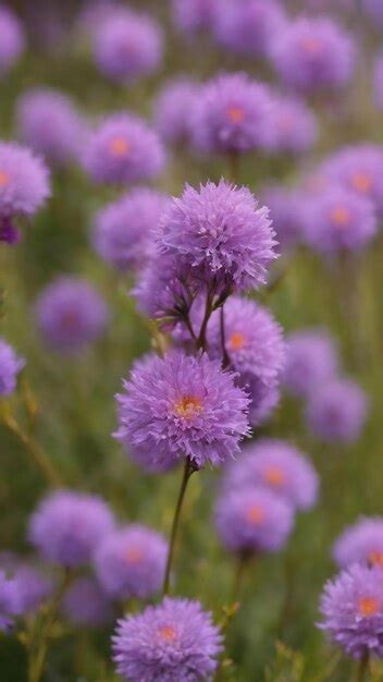 Premium Photo Natural Bokeh