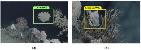Sustainability Free Full Text Application Of Target Detection