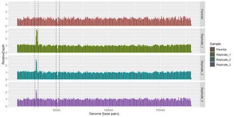 What Does The Samtools Depth Command Tell Us