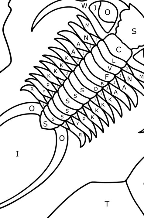 Sea Fossil Coloring Page ♥ Online And Print For Free