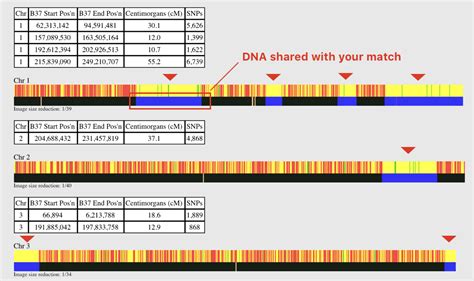 Dna Kit Comparison At Katie Jenkins Blog