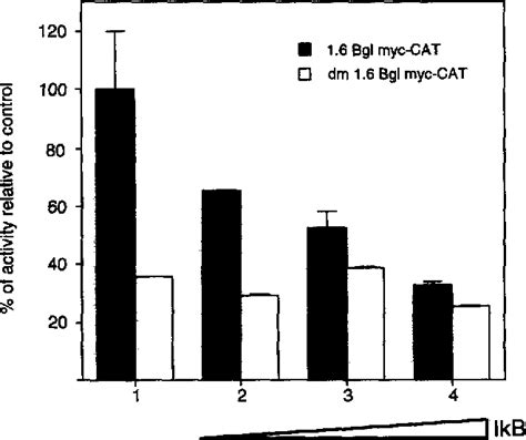 Figure 1 From Role Of Rel Related Factors In Control Of C Myc Gene Transcription In Receptor