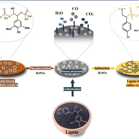 Overview Of The Leading Developed Lignin Based Catalysts And Their Download Scientific Diagram