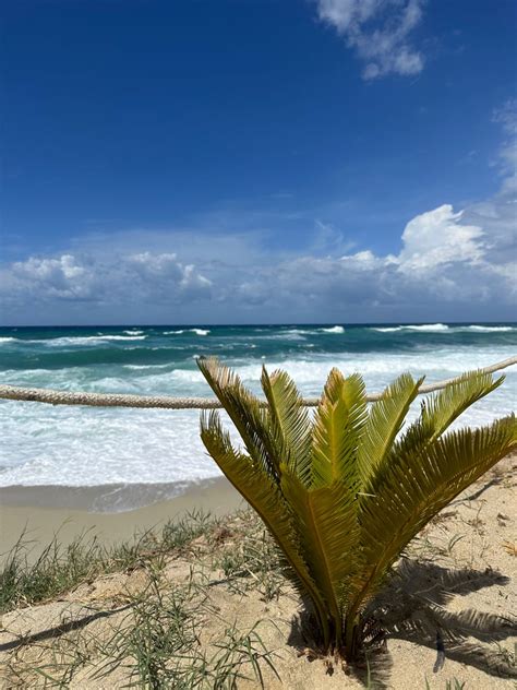 Kate Kosinova On Linkedin Some Nice Pictures From My Italy Holiday 🇮🇹 For Inspiration Till Next