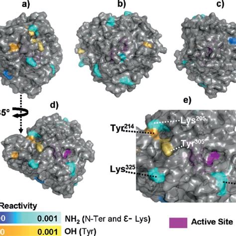 Structure Of Several Ordered Mesoporous Silica Starting From The Left Download Scientific