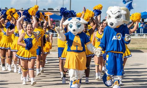 Cheerleaders Mascots And Concessions Are Examples Of Product Extensions