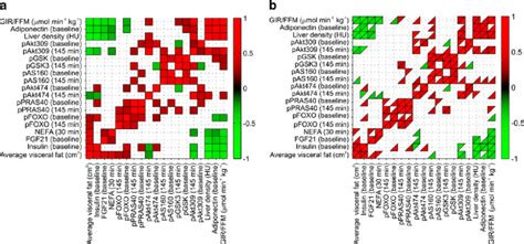 Pearson Correlation Analyses Between Metabolic Variables The Levels Of