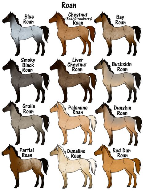 Pretty Horses Beautiful Horses Animals Beautiful Cute Animals Horse