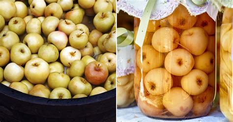 Квашеные яблоки на зиму простой деревенский рецепт
