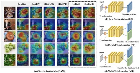 A Comparison Of Class Activation Maps Cams 68 Of Differently Download Scientific Diagram